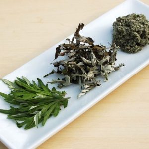 Mugwort Powder - The Blossom