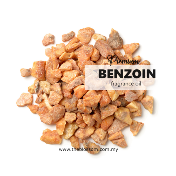 Benzoin Fragrance Oil - The Blossom